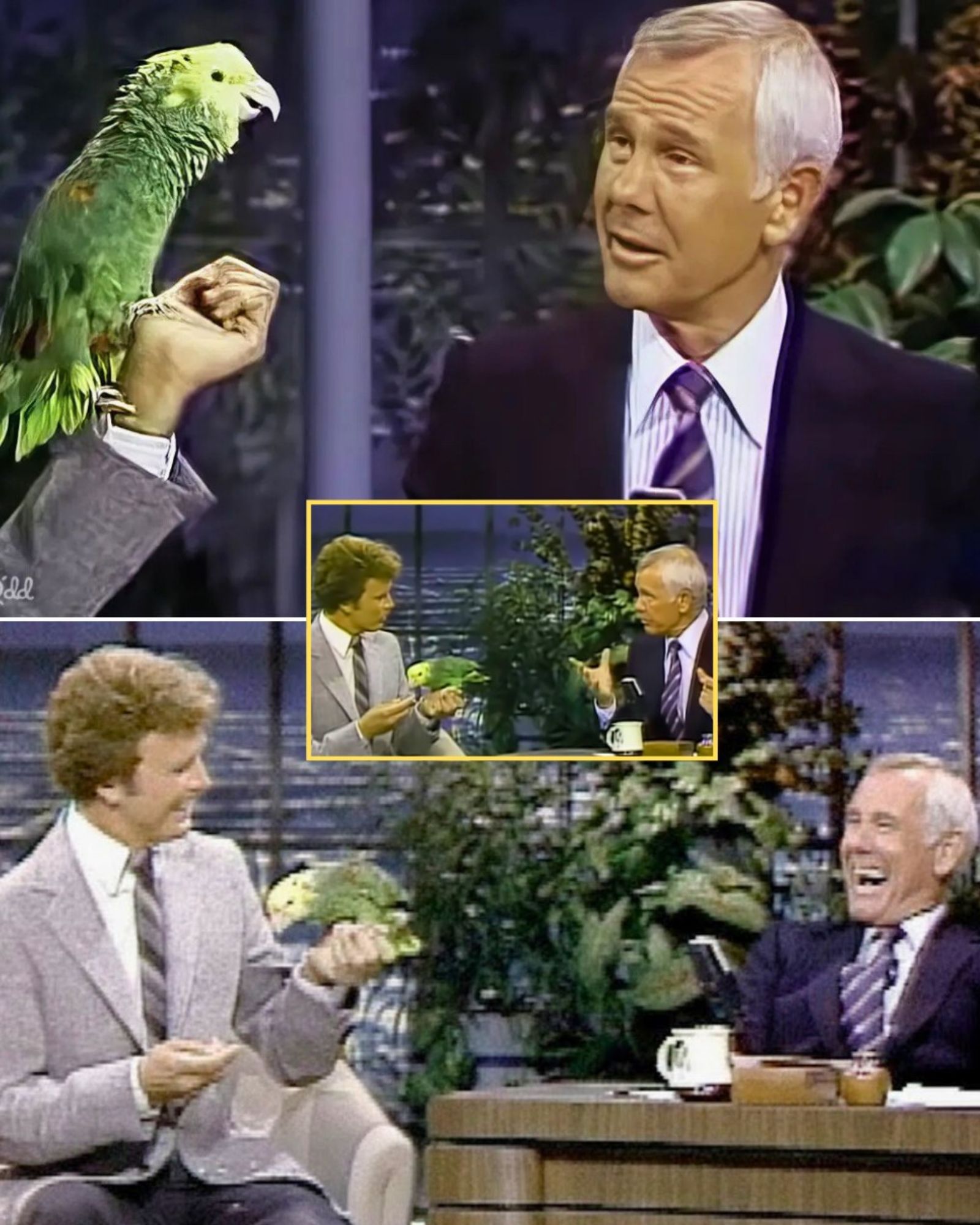 “IN 1963, A PARROT DID WHAT NO COMEDIAN COULD — HE STOLE JOHNNY CARSON ...